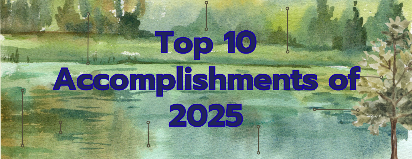 Top 10 LLLA Accomplishments of 2025